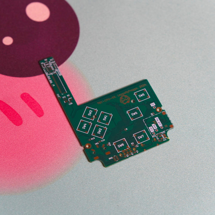 Tad Boy Color – FroggoCustoms